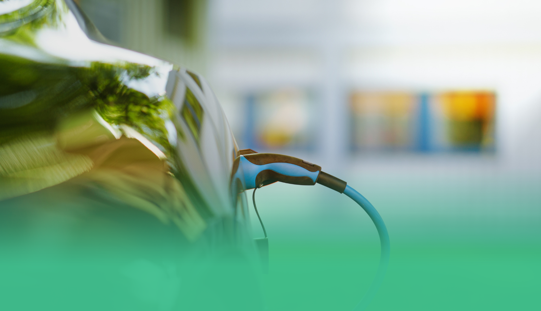 Synergies and Partnerships